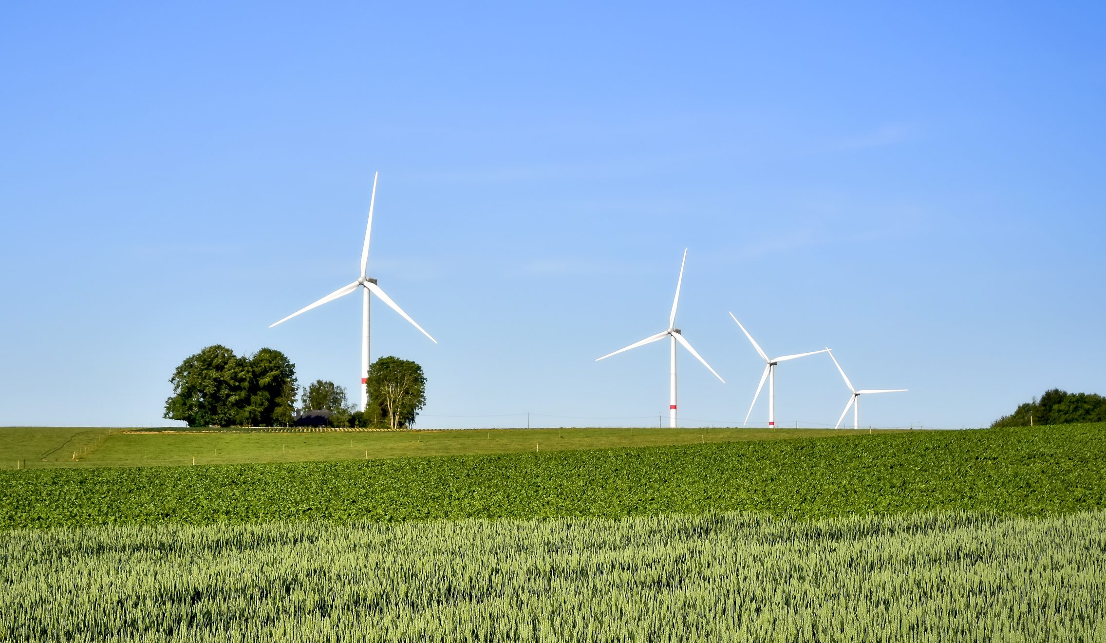 Ecopower: België's hernieuwbare revolutie starten - Solar Monkey